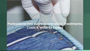 Calaméo Professional Bed Bug Extermination Treatments Costs What