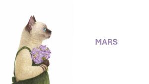 Calaméo - Presentation Mars Galec