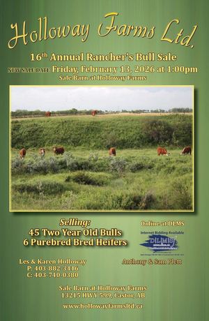 Calaméo - Holloway Farms 16th Annual Rancher's Bull Sale