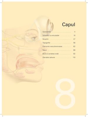 Calaméo - Sobotta Atlas de anatomie a omului, Capul, gatul si ...