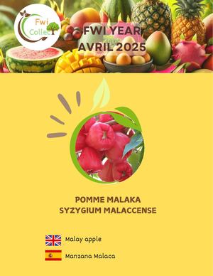 Calaméo - Pomme malaka Livret (1)